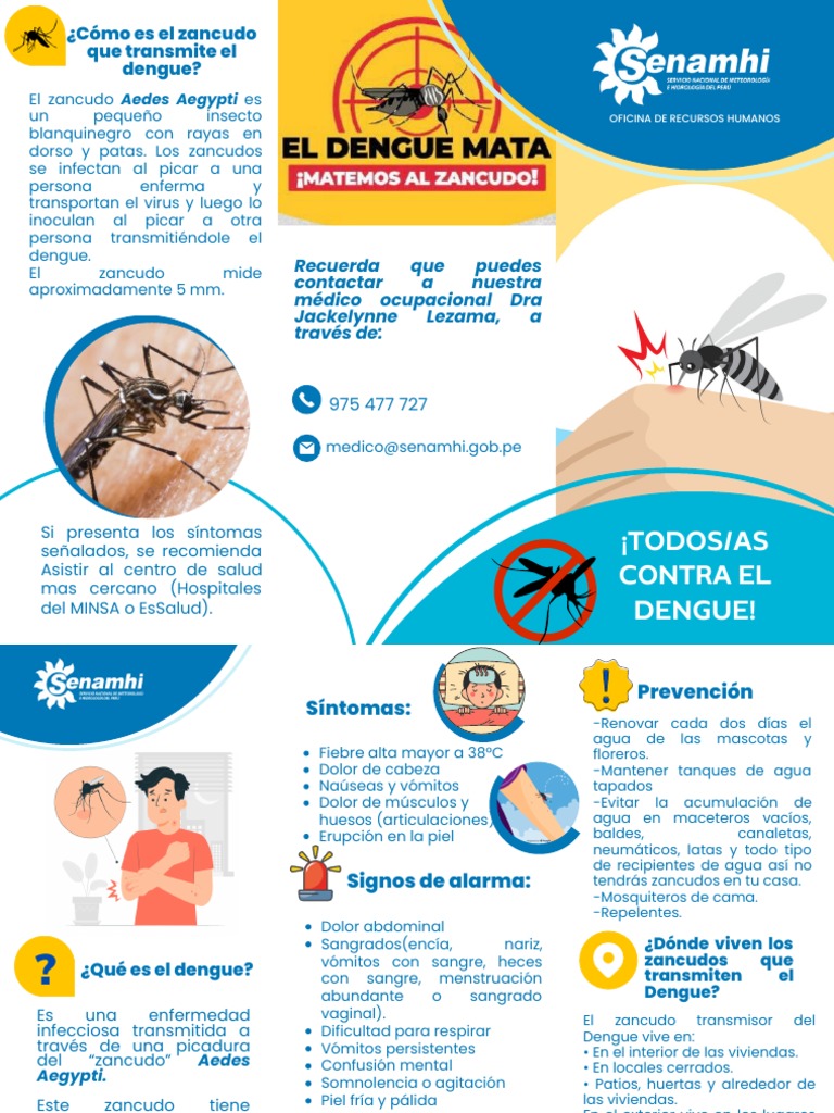 Triptico Dengue SST | Descargar gratis PDF | Salud pública | Inmunología