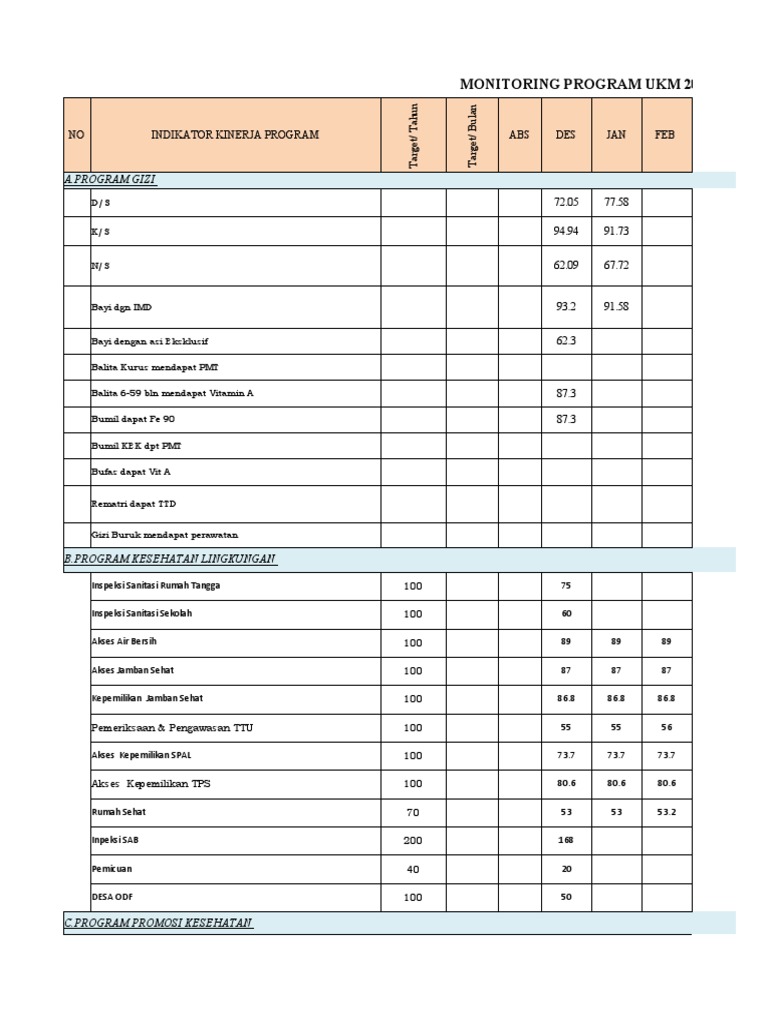 Form Isian Monitoring Program Ukm | PDF