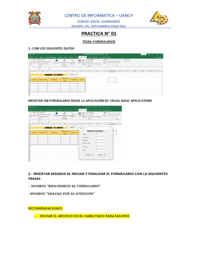 Curso de Excel Avanzado: Formularios | PDF | Arte
