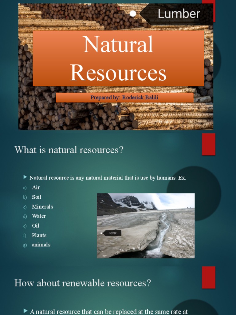 Natural Resources | PDF