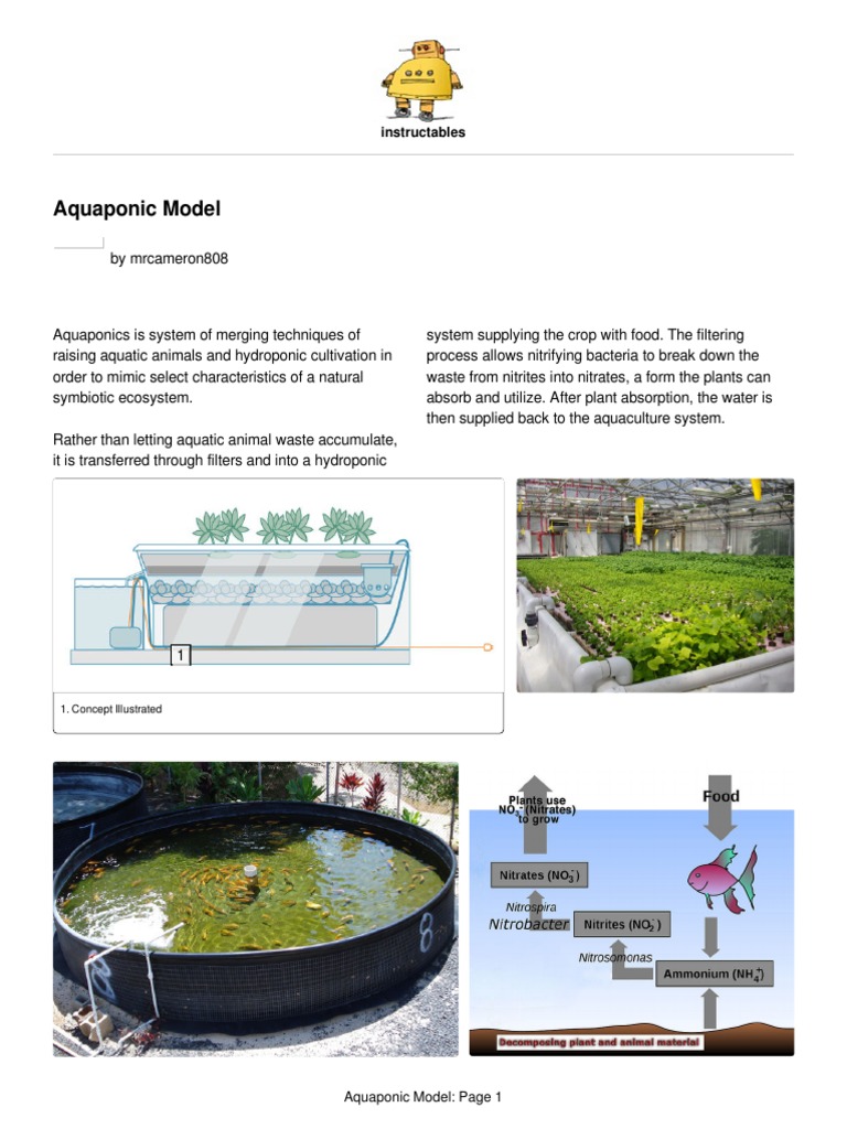 Aquaponic Model | PDF | Aquaponics | Pump