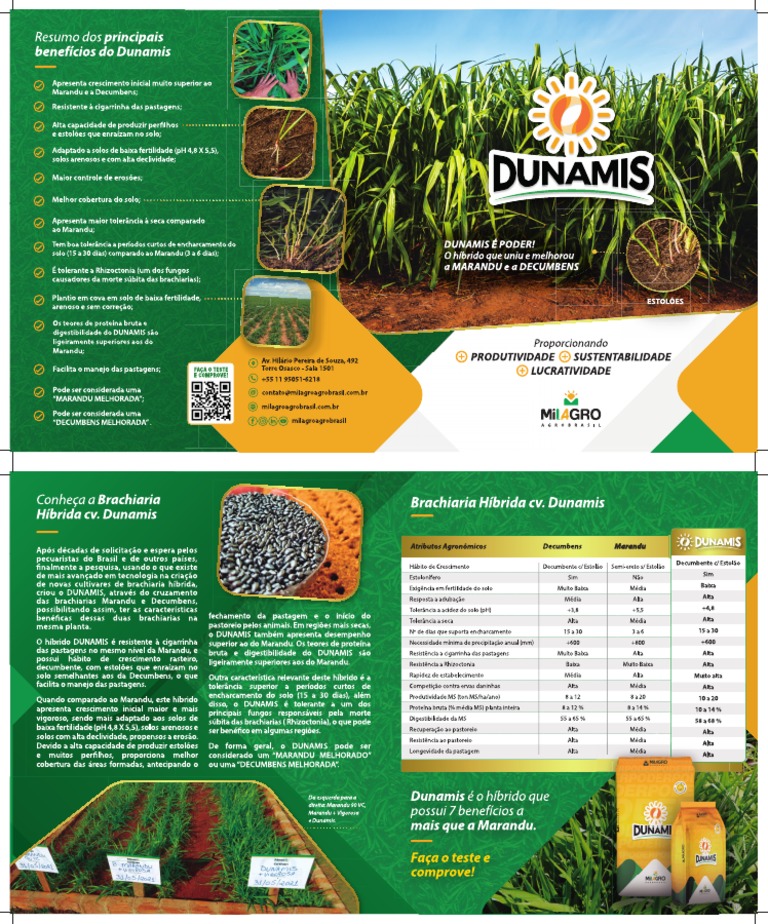 Folder Dunamis Atualizado | PDF