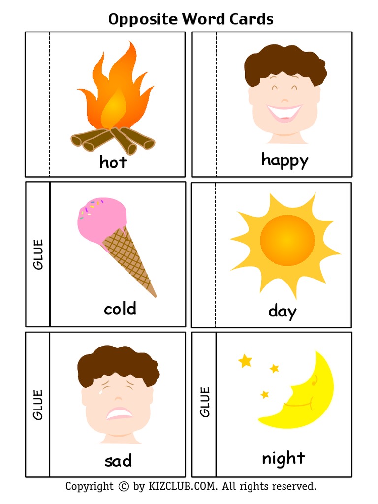 Opposite Word Flashcards | PDF
