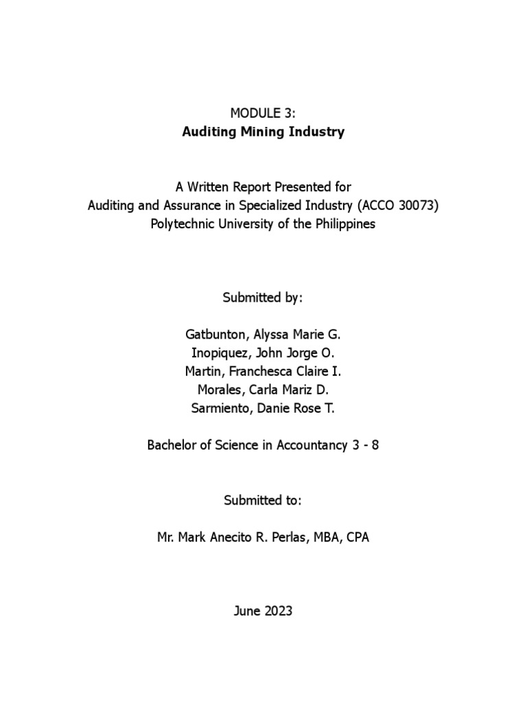 Written Report - Auditing Mining Industry (Group 4) | Download Free PDF ...