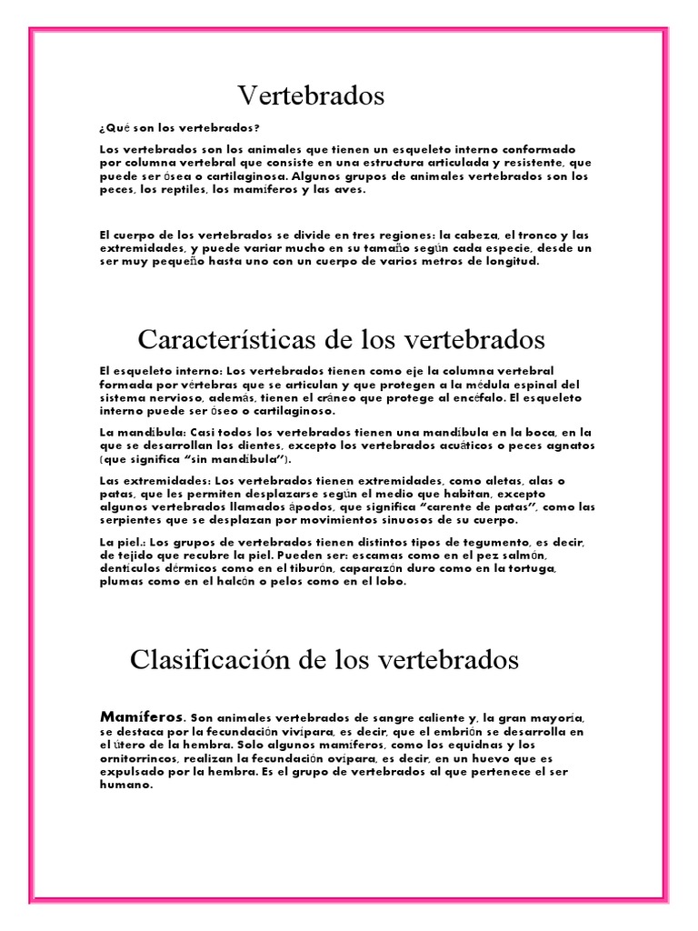 Vertebrados | PDF | Vertebrados | Esqueleto