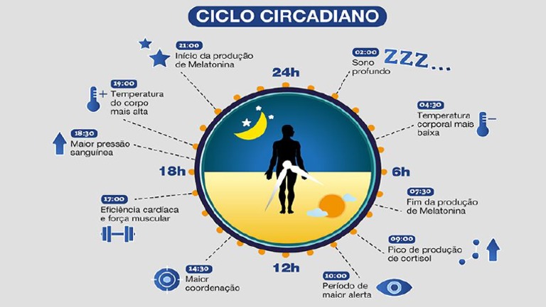 CICLO | PDF