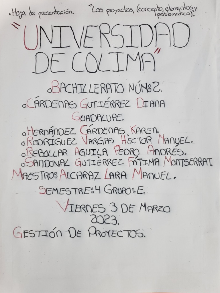 Mapa Conceptual Tipos de Proyecto PDF | PDF