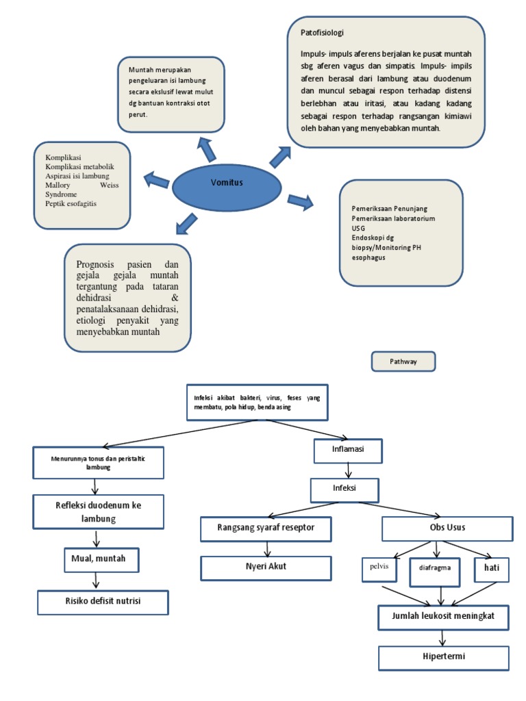 Pathway dan Diagnosa Muntah pada Pasien | PDF
