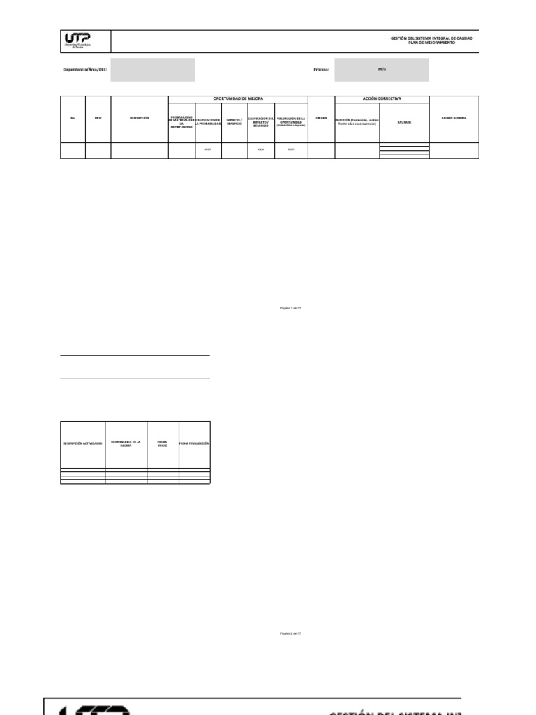 1313-F10 V6 Plan de Mejoramiento | PDF