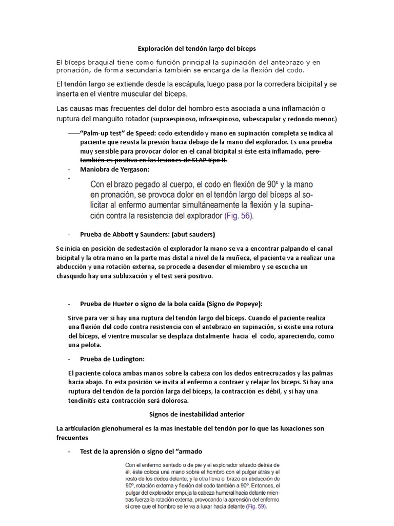 Pruebas para lesiones del bíceps braquial | PDF | Codo | Sistema ...
