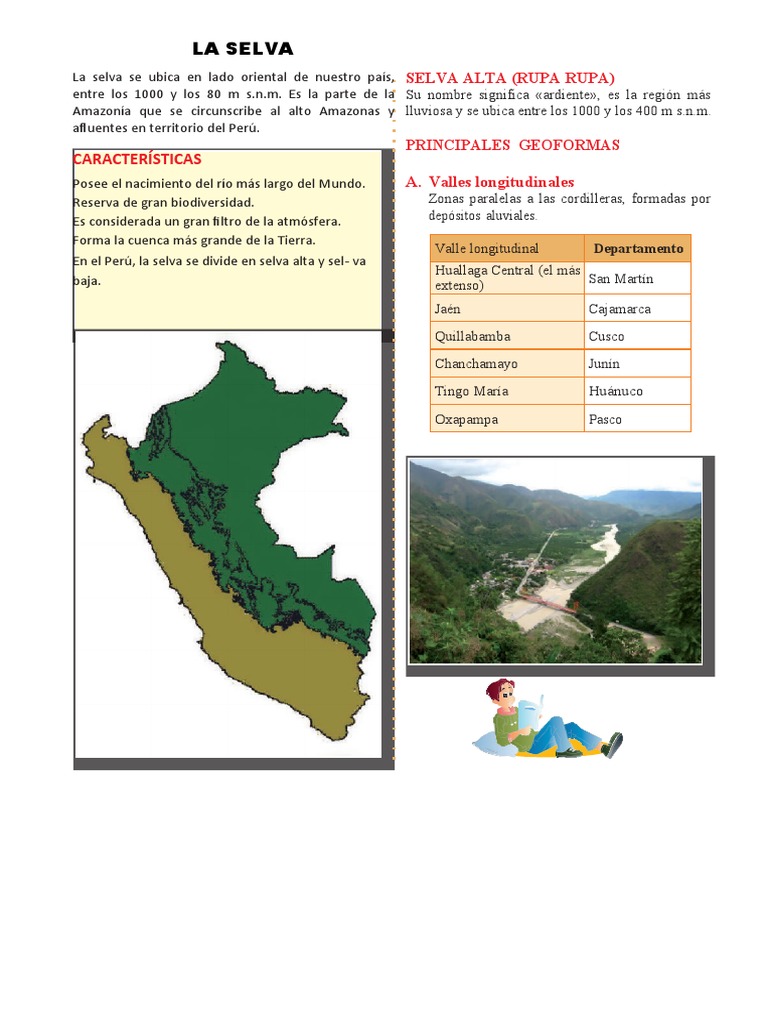 Relieve de la Selva Peruana | PDF | Geografía Física | Ciencias de la ...
