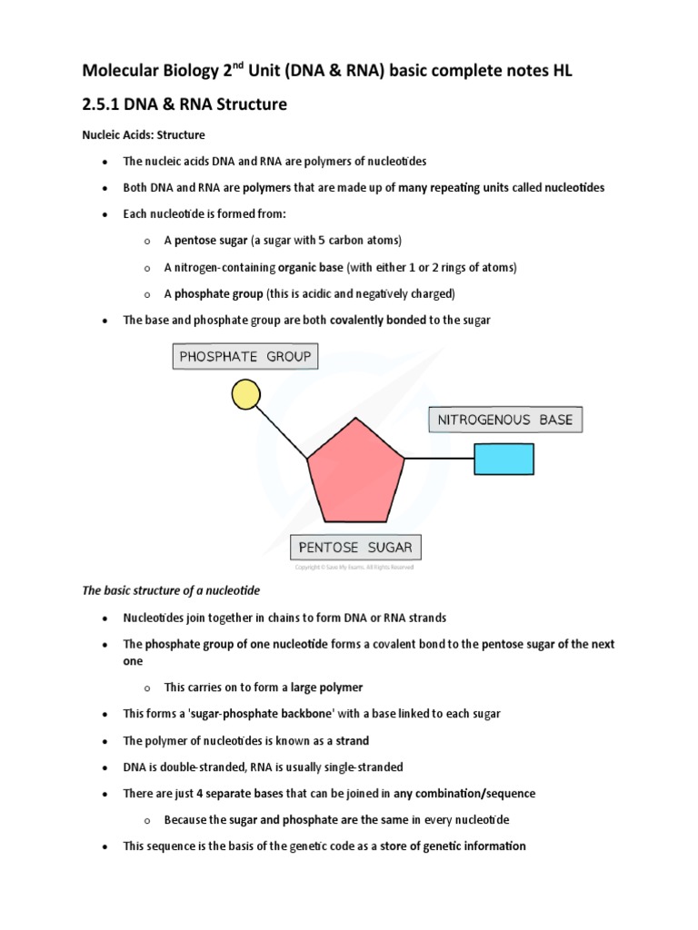 Molecular Biology Unit 2 (DNA & RNA) | PDF | Translation (Biology) | Dna