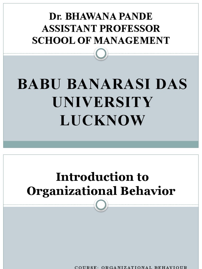 Define OB, Challenges and Opportunities | PDF | Organizational Behavior ...
