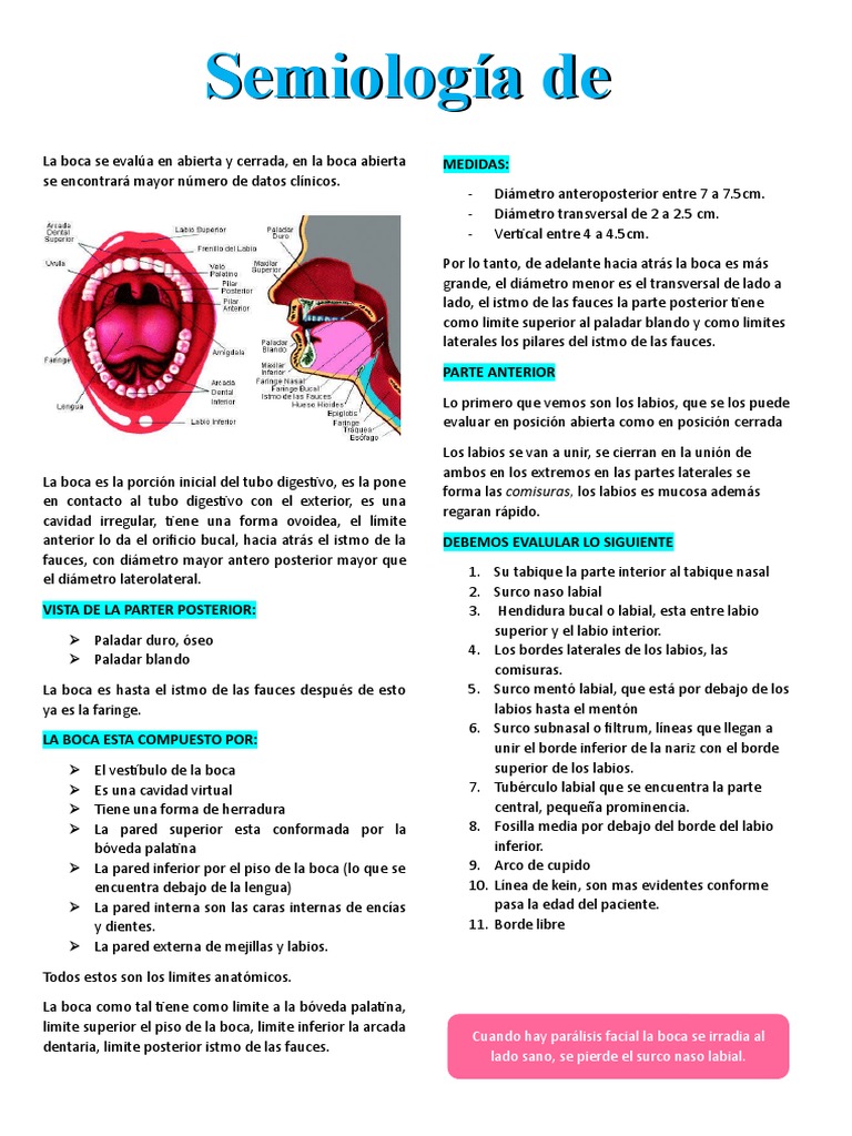 Resumen de Semiologia de La Boca | PDF | Boca | Gusto