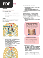Choque de La Punta | PDF | Corazón | Anatomía humana