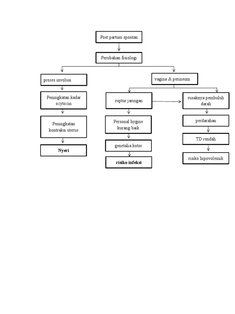 Pathway Partus | PDF