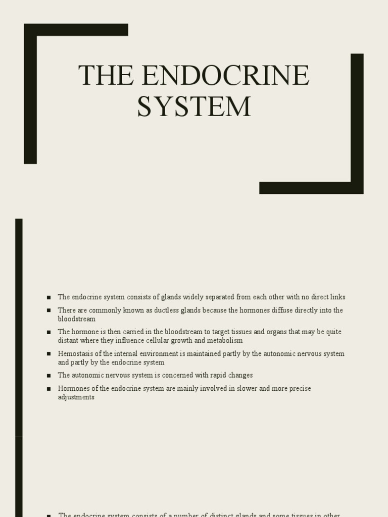 The Endocrine System | PDF | Endocrine System | Pituitary Gland