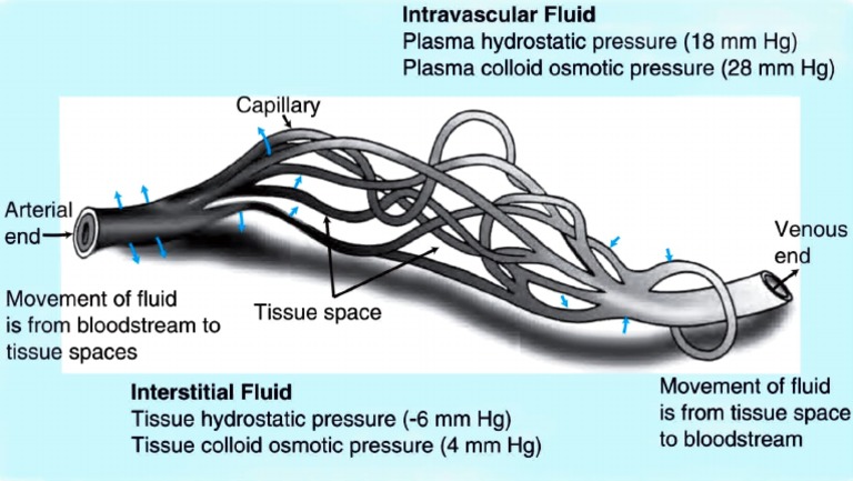 Starling Forces | PDF