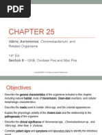 Gram-Negative Curved Rods Overview | PDF | Cholera | Immunology
