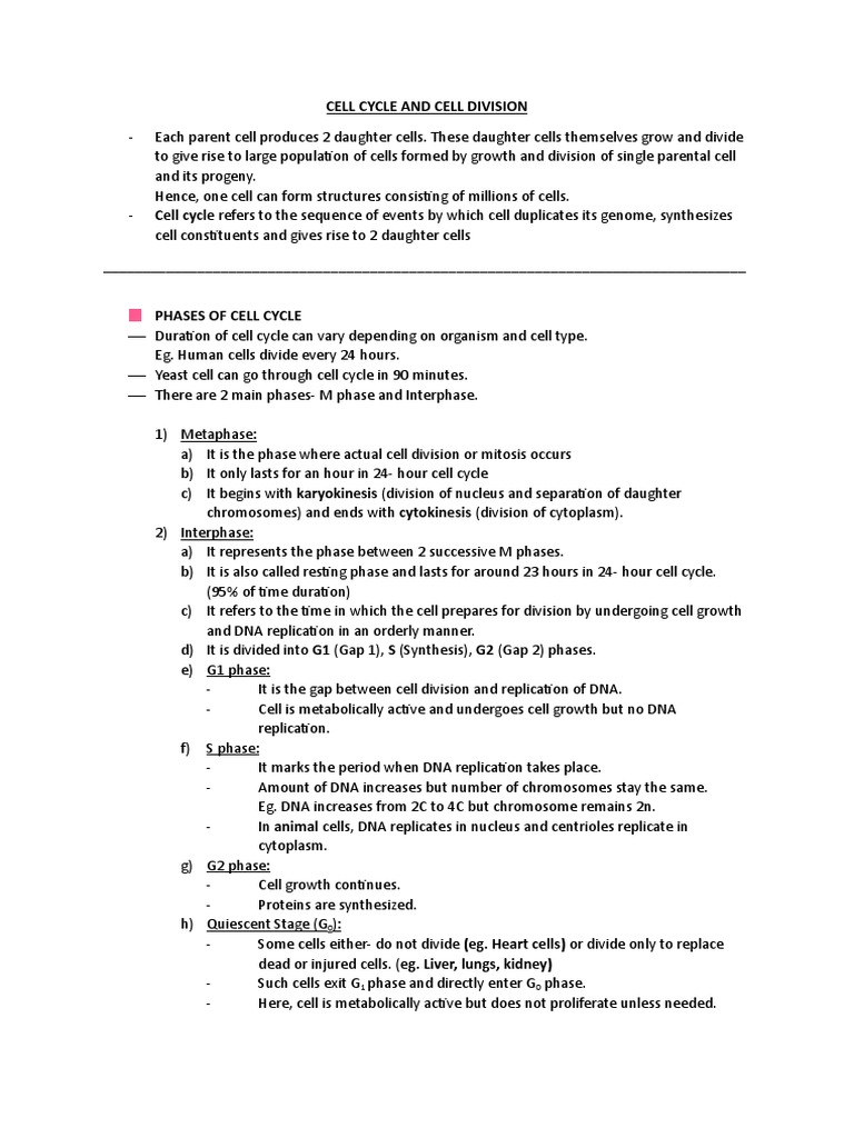 Cell Cycle and Cell Division | PDF | Meiosis | Mitosis