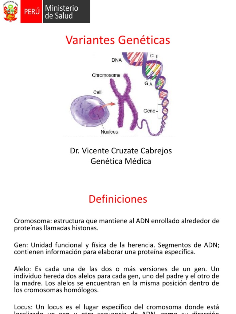 Teoría Lily Genetica | PDF | Dominancia (Genética) | Alelo