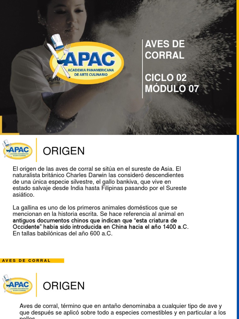Características de las Aves de Corral | PDF | Aves de corral | Pollo