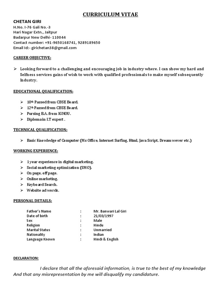 Chetan Giri's Digital Marketing CV | PDF