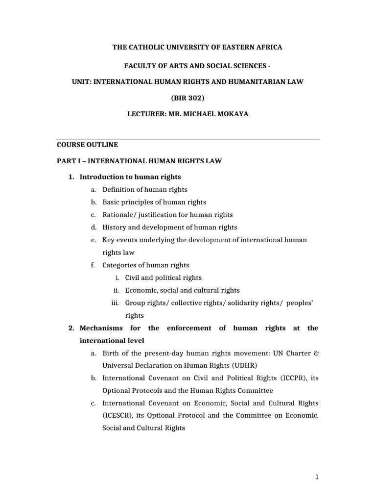 International Human Rights and Humanitarian Law | PDF | International ...