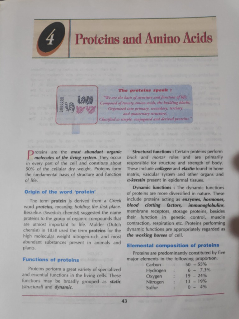 Amino Acid and Protein | PDF | Amino Acid | Proteins