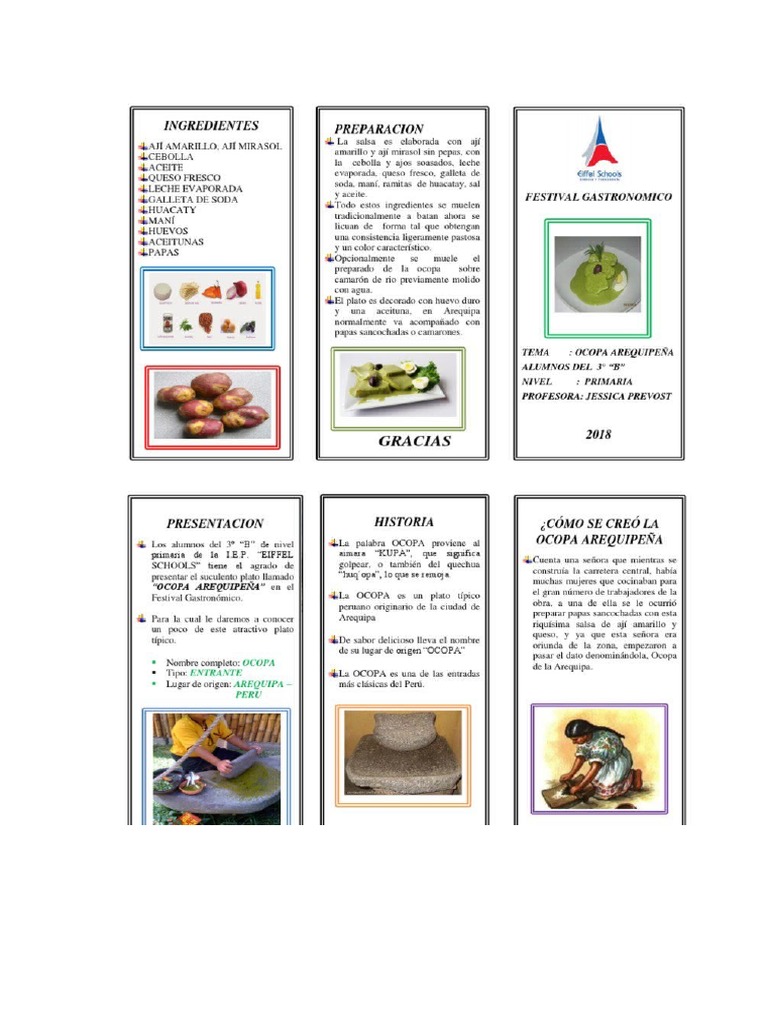 Triptico Ocopa | PDF