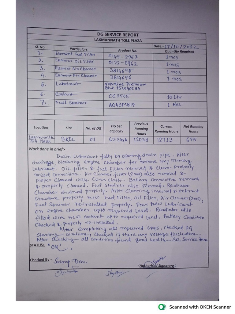 DG Service Report | PDF