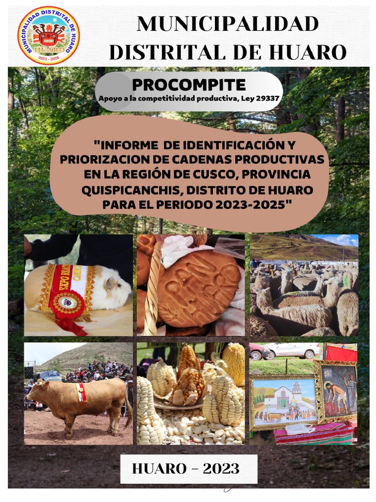 ESTUDIO DE CADENA Huaro.2023 OK | PDF | Agricultura | Regulación