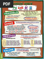 Nosiniu Raidziu Rasyba | PDF