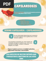 Capillariasis en Aves: Diagnóstico y Tratamiento | PDF | Aves | Membrana mucosa