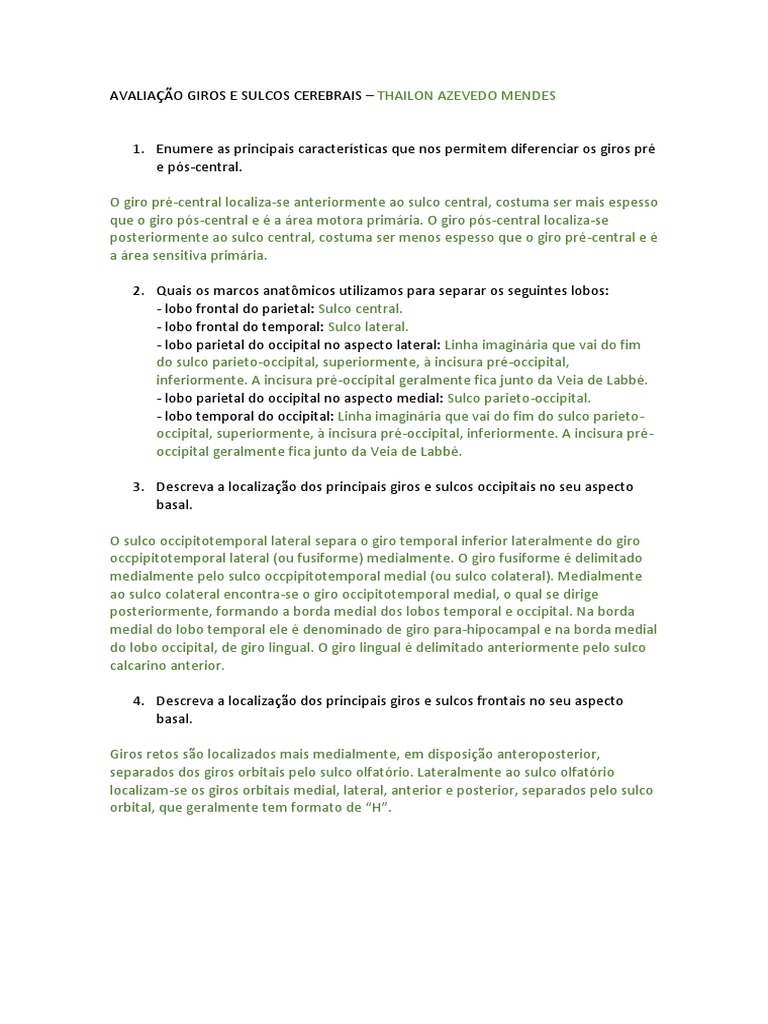 AVALIAÇÃO GIROS E SULCOS CEREBRAIS - Thailon | PDF | Lobo temporal ...