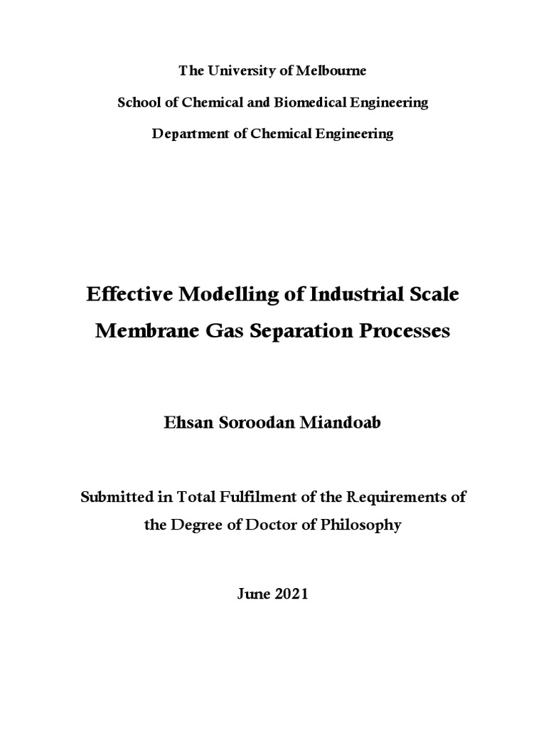 Effective Modelling of Industrial Scale Membrane Gas Separation Processes - 2021 - PHD | PDF ...