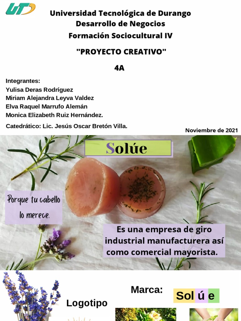 FOSO IV Proyecto | PDF