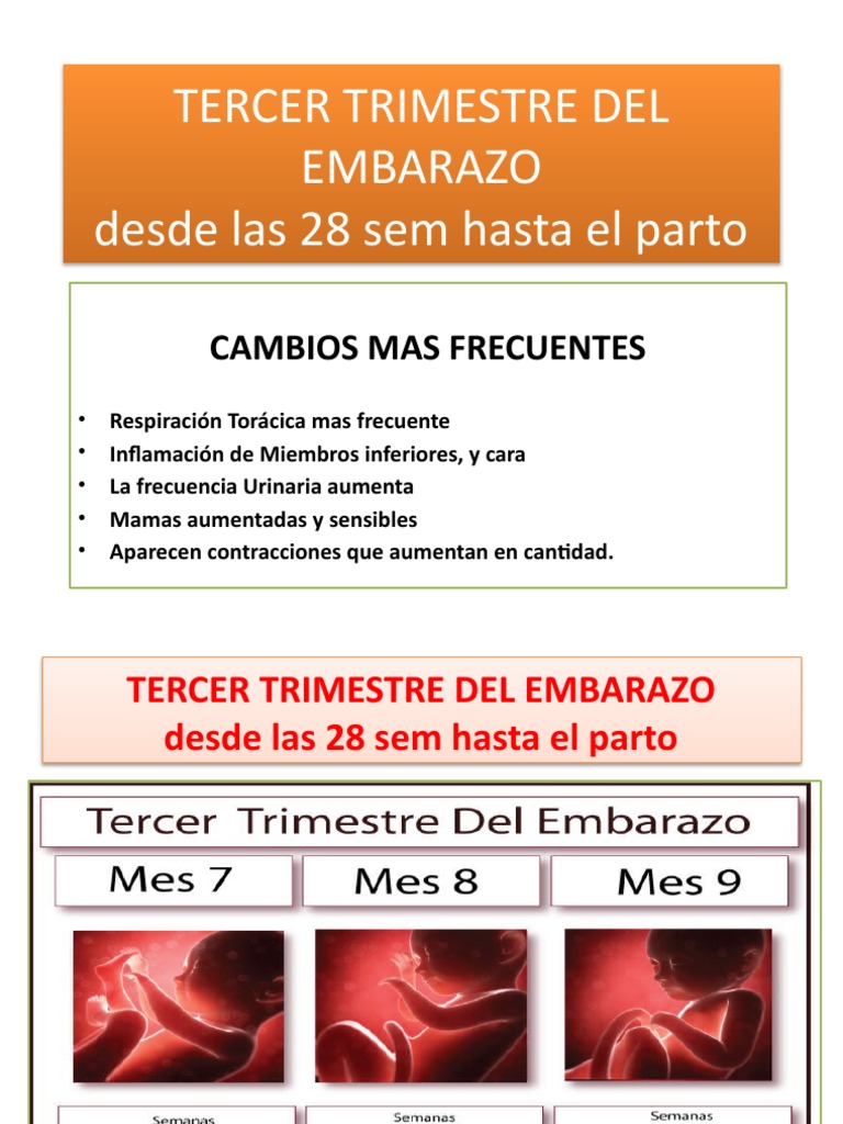 TERCER TRIMESTRE DEL EMBARAZO PP | PDF | El embarazo | Parto