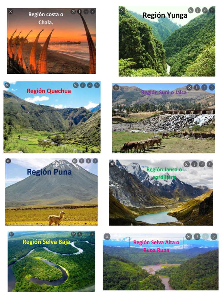 Las Ocho Regiones Del Perú | PDF