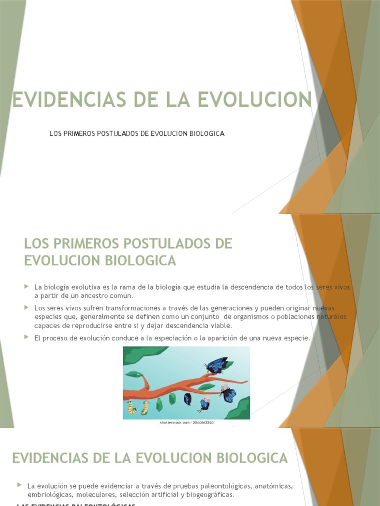 Evidencias de La Evolucion | PDF | Evolución | Biología