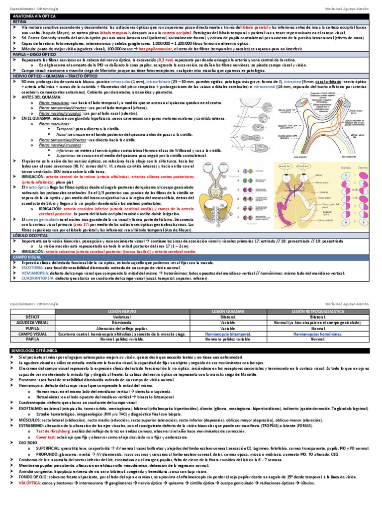 Resumen Oftalmo 2022 | PDF | Ojo humano | Percepción visual