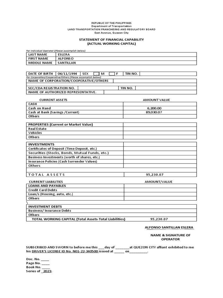 Statement of Financial Capability | PDF