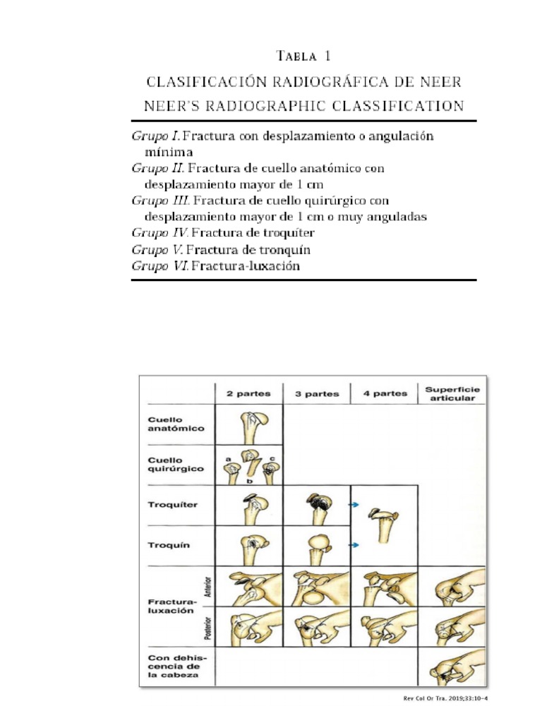 Escala de Neer | PDF