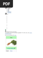 Carrot | PDF