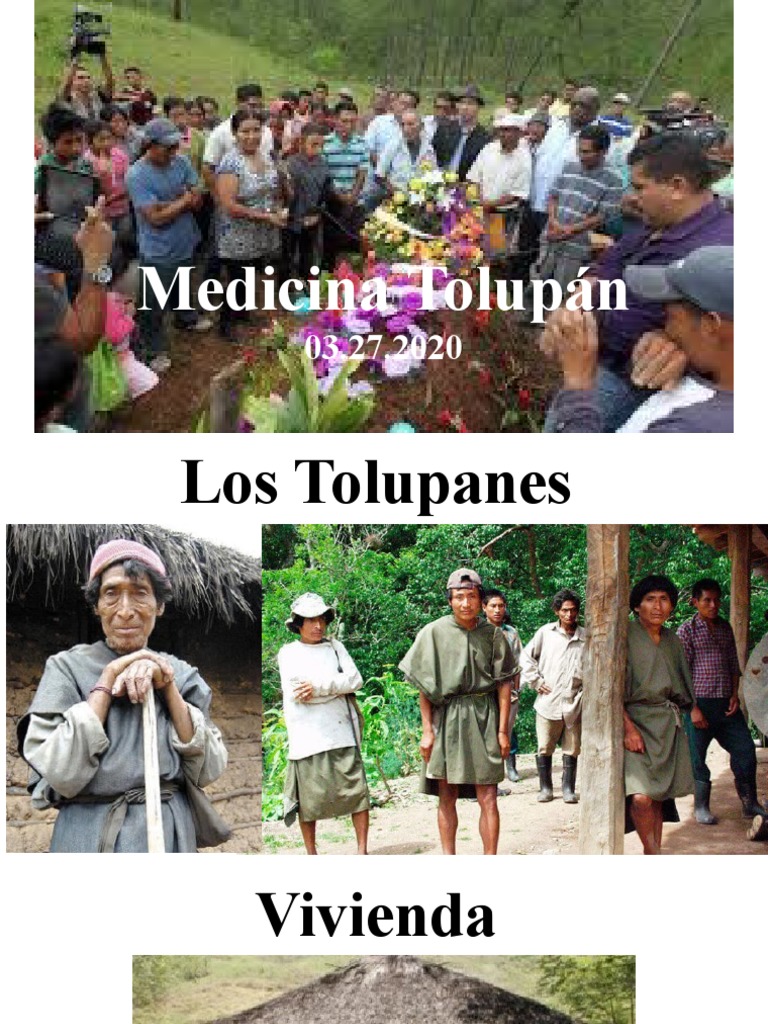 Medicina y Artesanía Tolupán | PDF