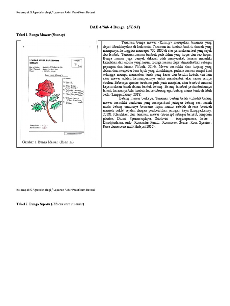 Laprak Botani Bunga Rev | PDF