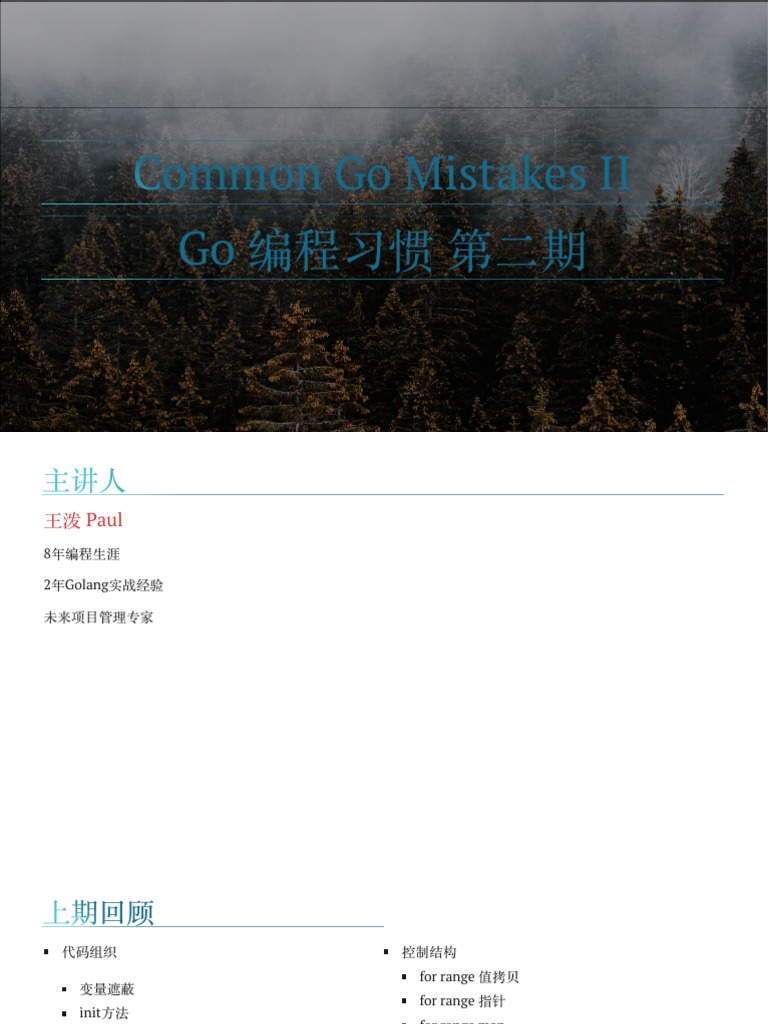 Common Go Mistakes Part 2 | PDF