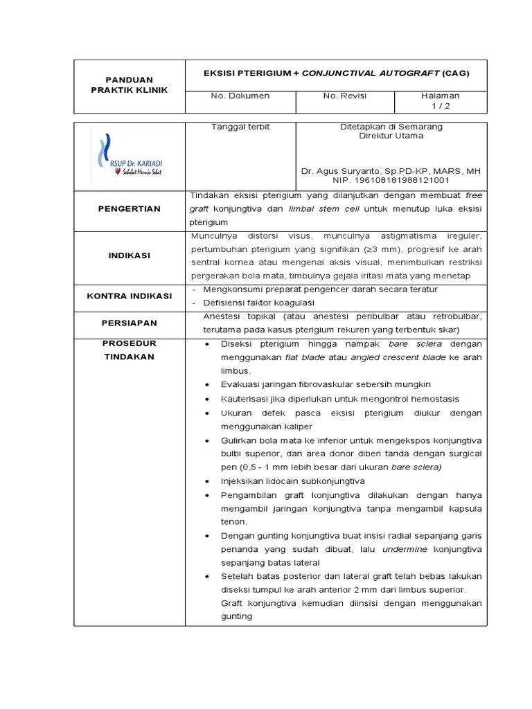 Panduan Eksisi Pterigium CAG | PDF