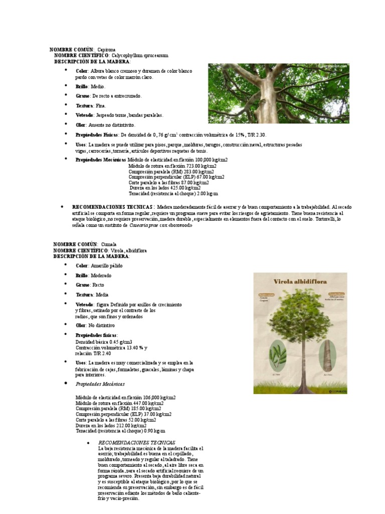 Capirona y Cumala | PDF | Madera | Ingeniería mecánica