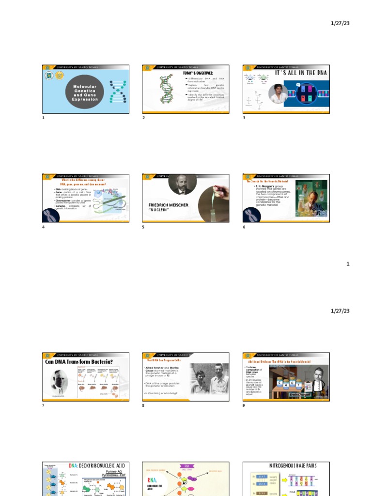 Molecular Genetics and Gene Expression | PDF | Translation (Biology ...